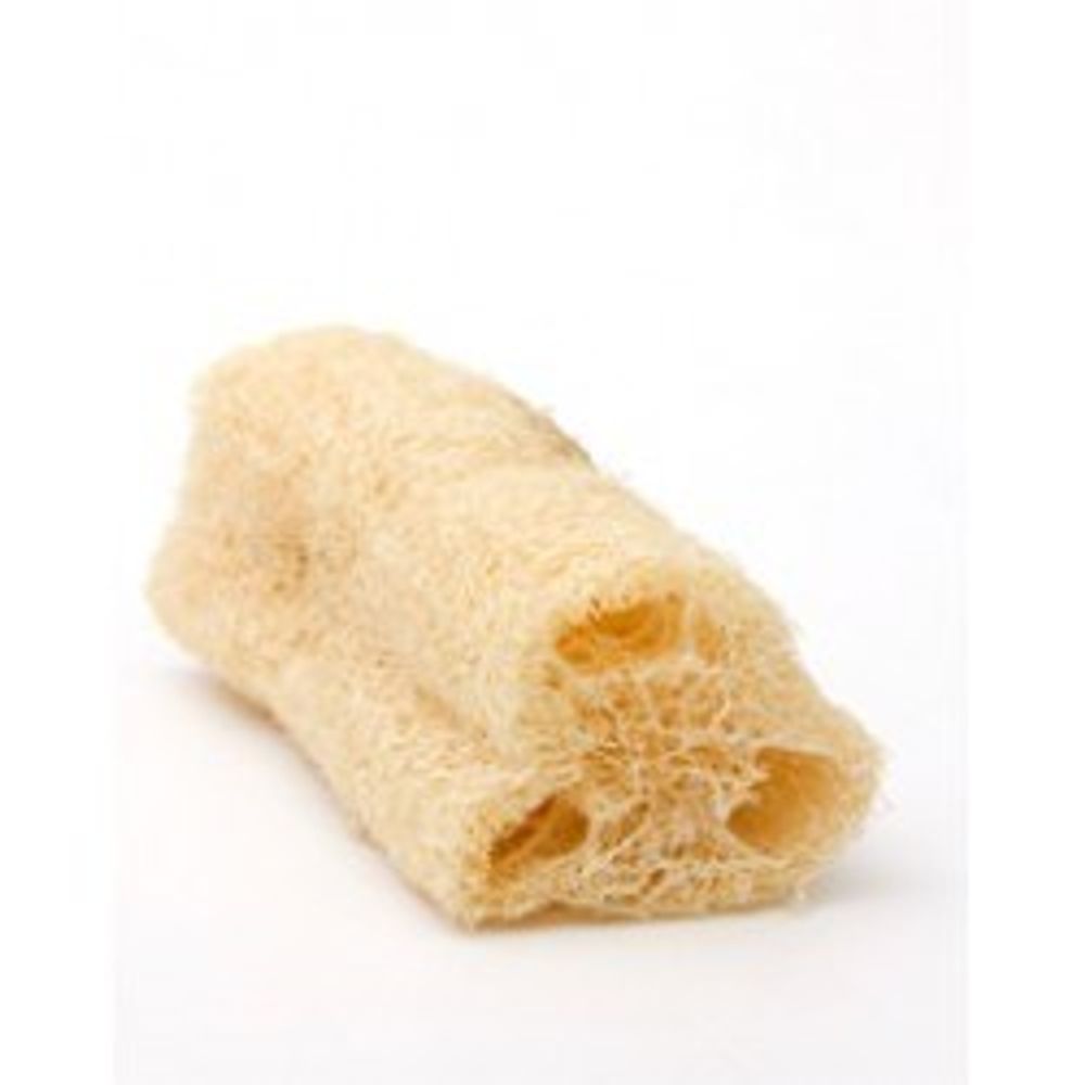 Bucha Natural Orgânica - Drogarias Pacheco